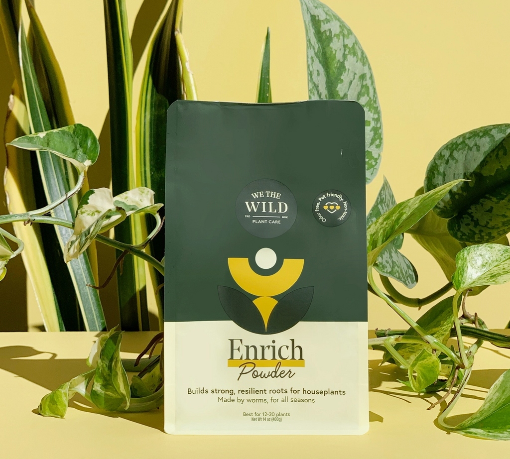 Enrich Powder – RUDO PLANTS & HOME